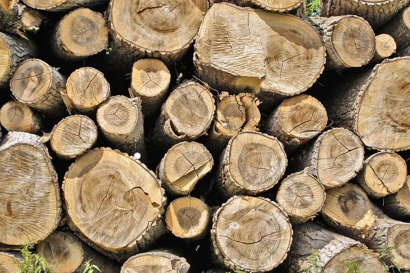 Dry Logs – Estimateable